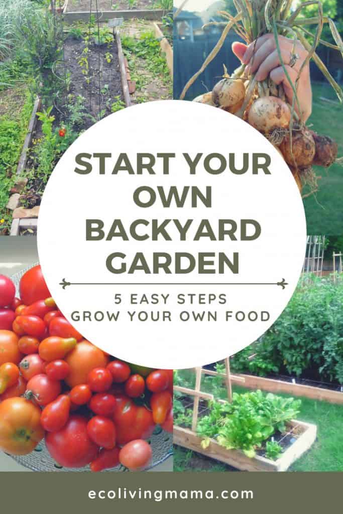 How to start a vegetable garden in 5 easy steps | Eco Living Mama