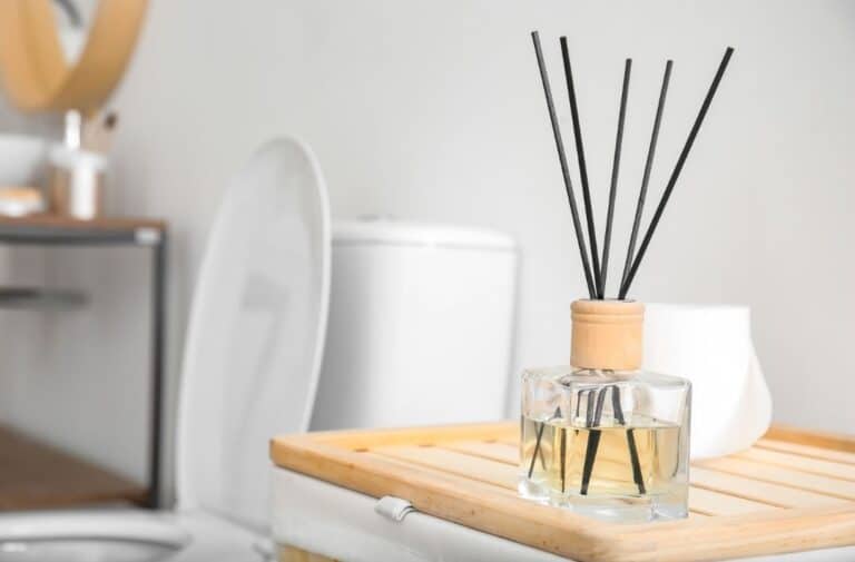 How To Use A Diffuser with Essential Oils: The Ultimate Guide | Eco ...