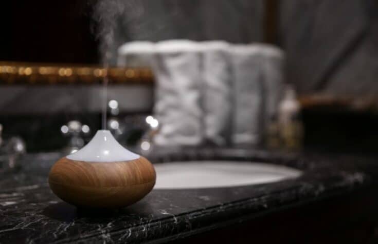 How To Use A Diffuser with Essential Oils: The Ultimate Guide | Eco ...