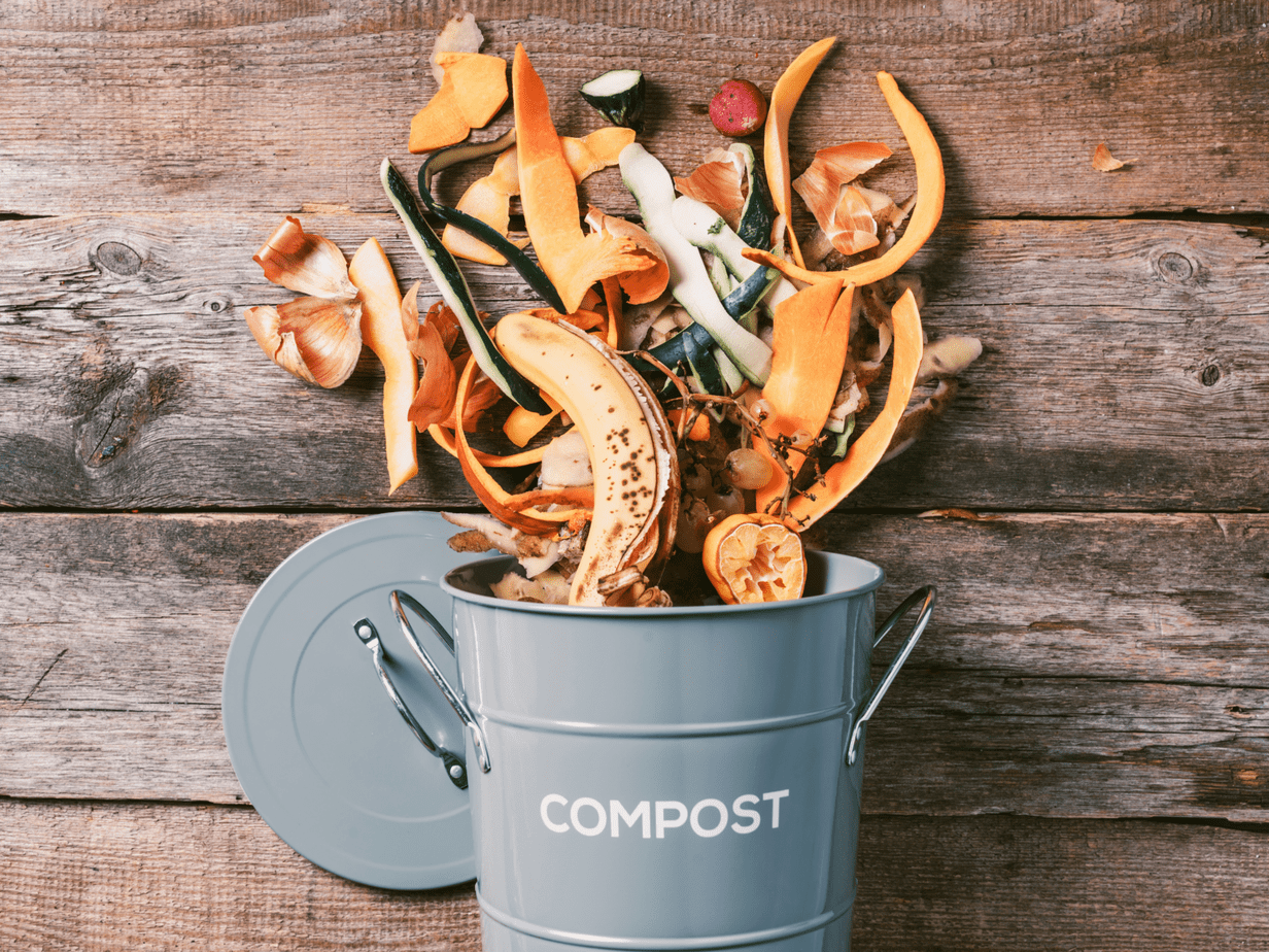 Eco-Friendly Ways to Save Money at Home | Eco Living Mama