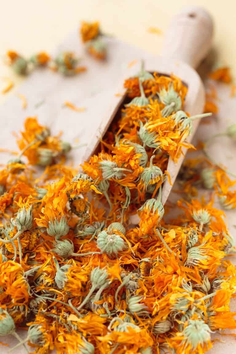 DIY Calendula Fizzing Bath Salts | Eco Living Mama